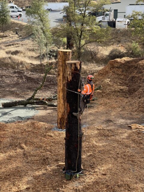 Our Training | Mountain F Enterprises