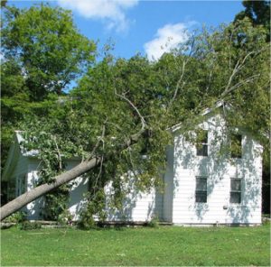 Residential | Mountain F Enterprises